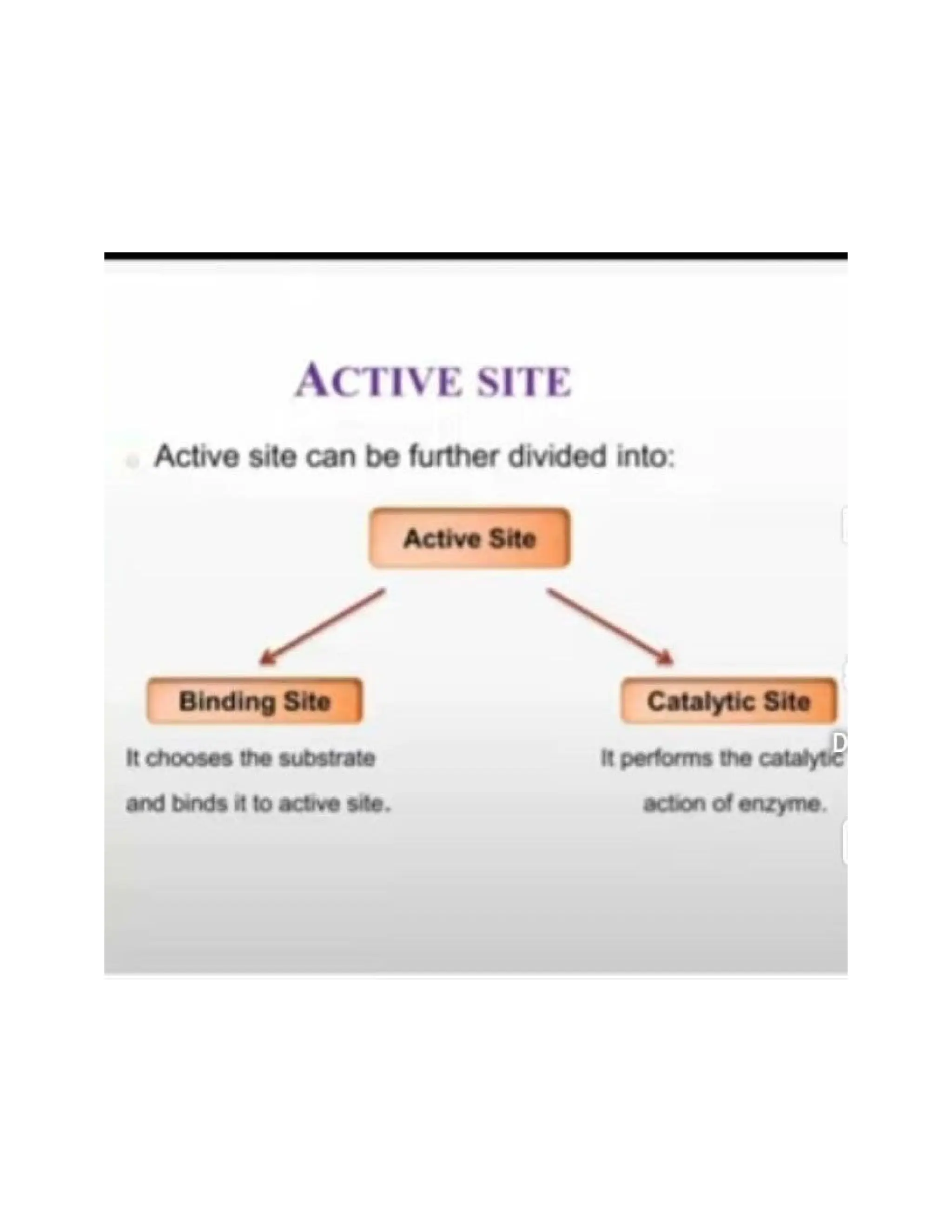 Active site representation with the help of ppt | PPT