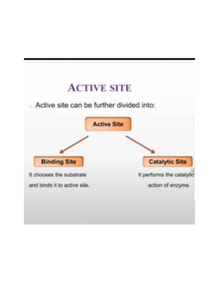 Active site representation with the help of ppt | PPT