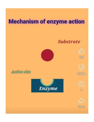 Active site representation with the help of ppt | PPT
