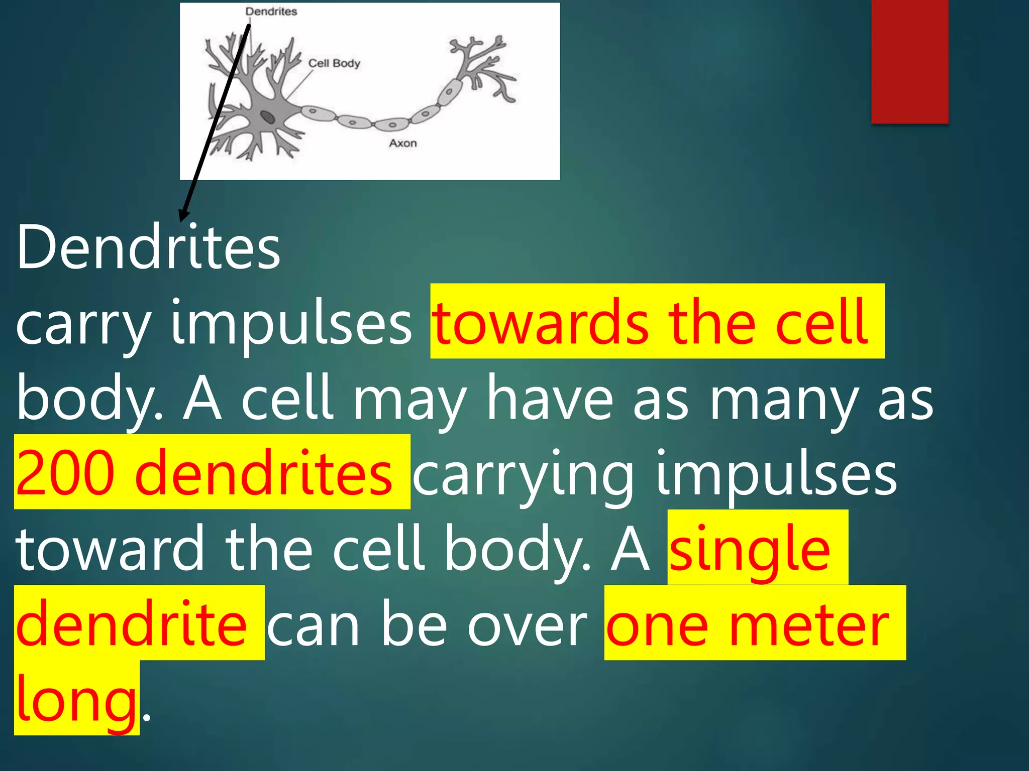 ppt-2-Reactions-Copy.pptx