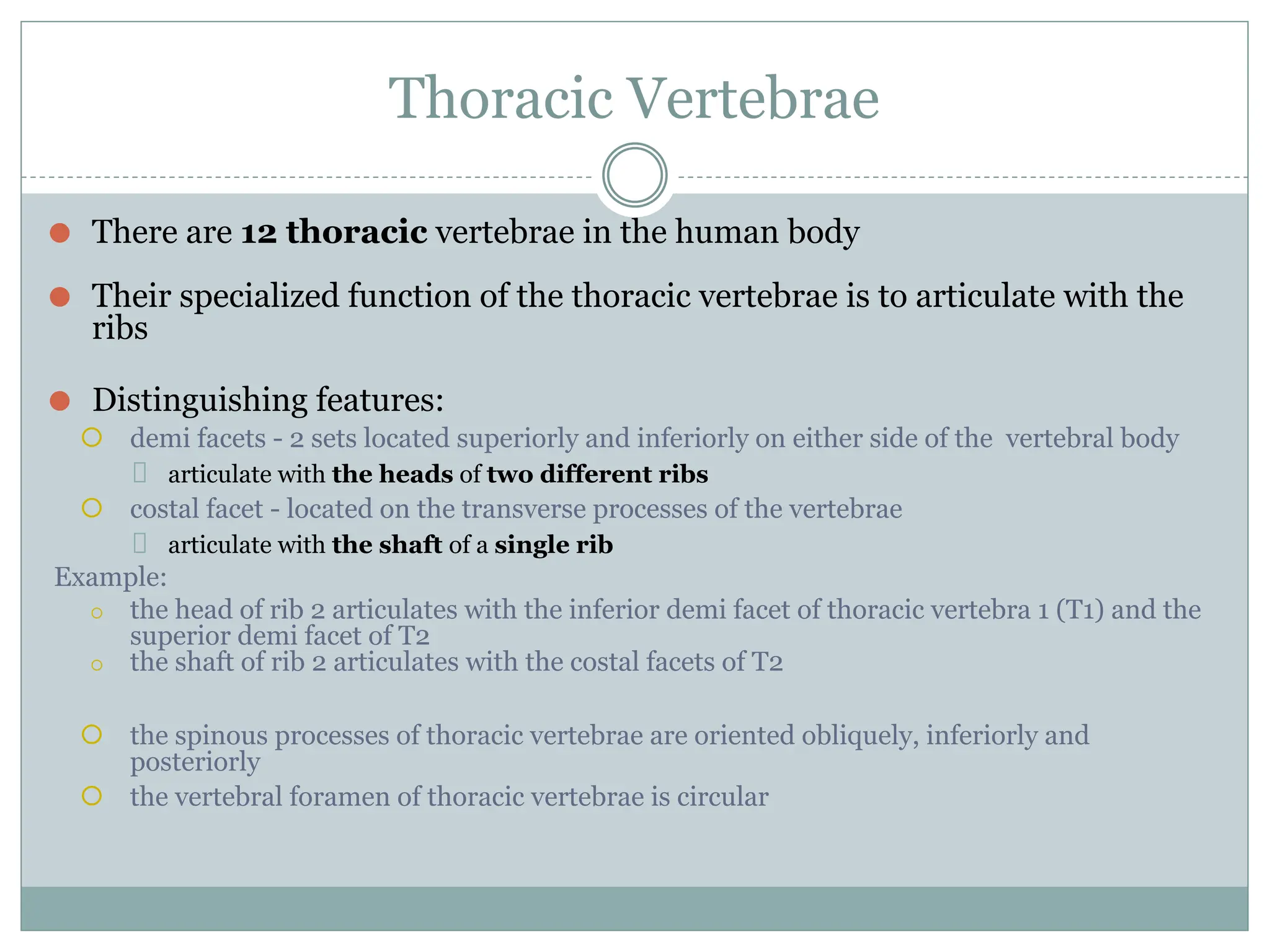 PPT-2-Vertebral-Column with presentation and diagrams | PDF