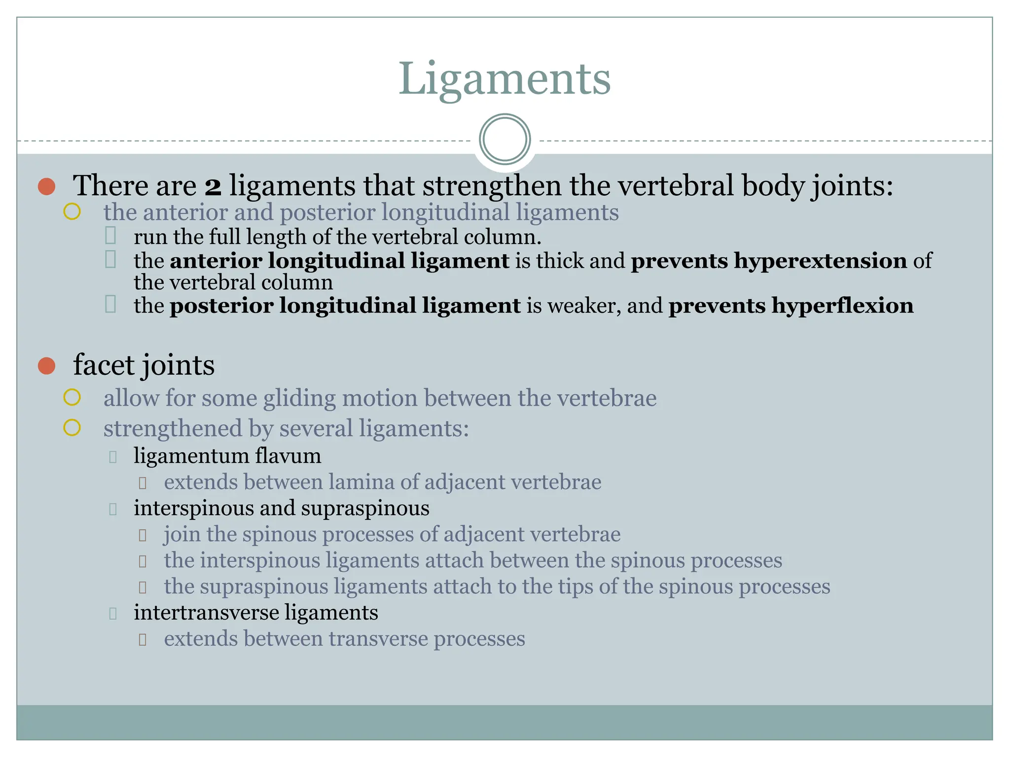 PPT-2-Vertebral-Column with presentation and diagrams | PDF