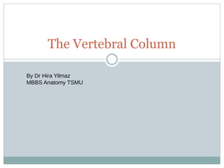 PPT-Vertebral-Column with diagrams and explaination | PPTX