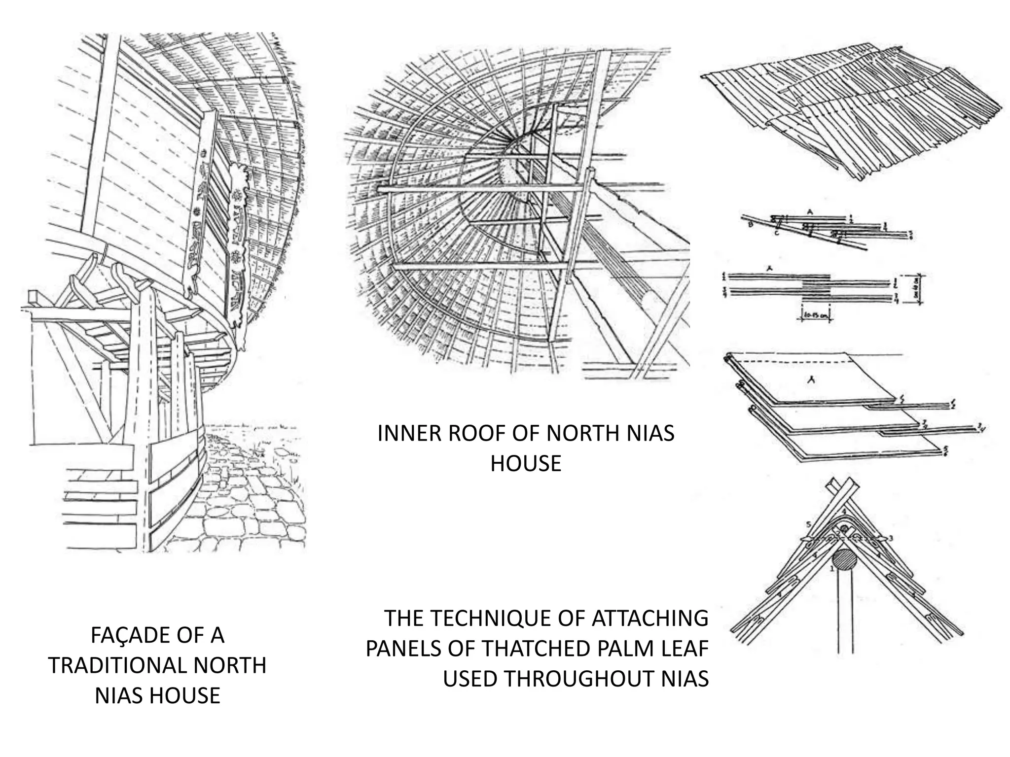 TRADITIONAL ARCHITECTURE IN NIAS ISLAND | PPTX