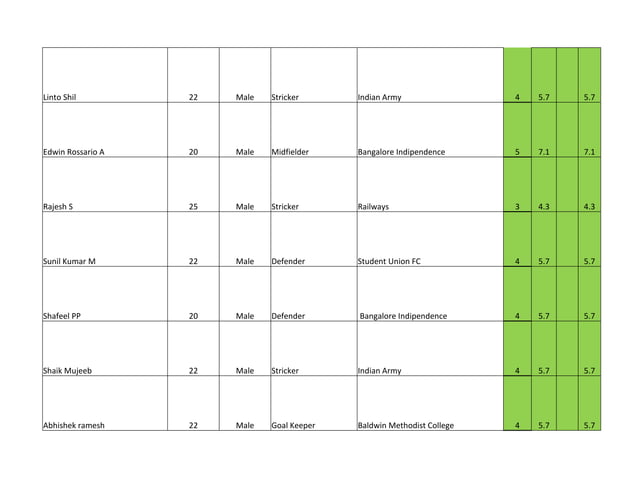 Performance Profiling and data scoring with Excel | PPT