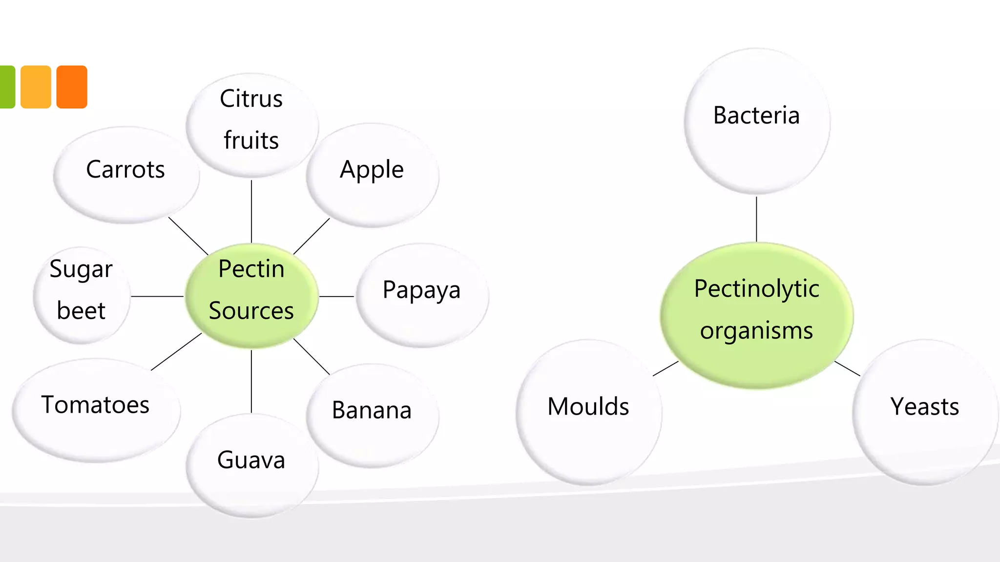 Microbial Processing of Agricultural Wastes to produce Pectinase Enzyme ...