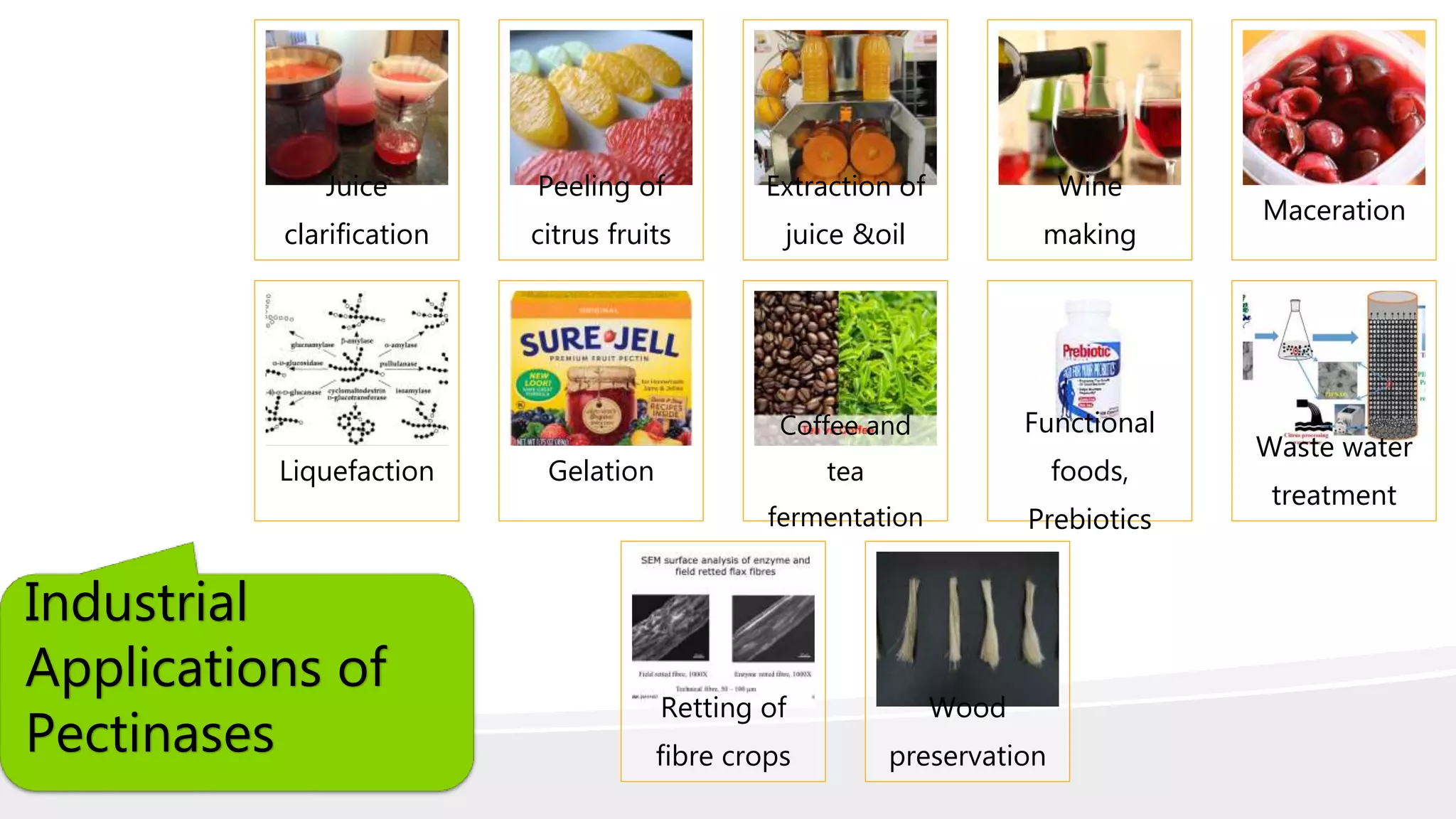 Microbial Processing of Agricultural Wastes to produce Pectinase Enzyme ...
