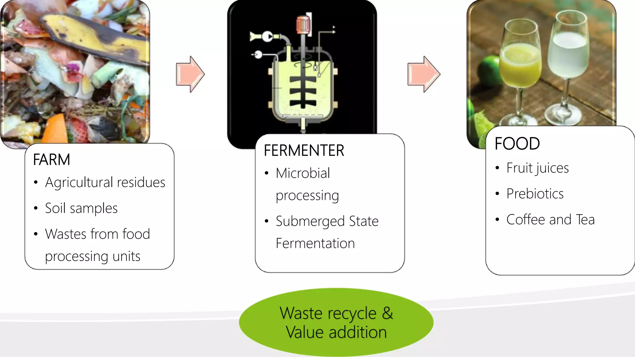 Microbial Processing of Agricultural Wastes to produce Pectinase Enzyme ...