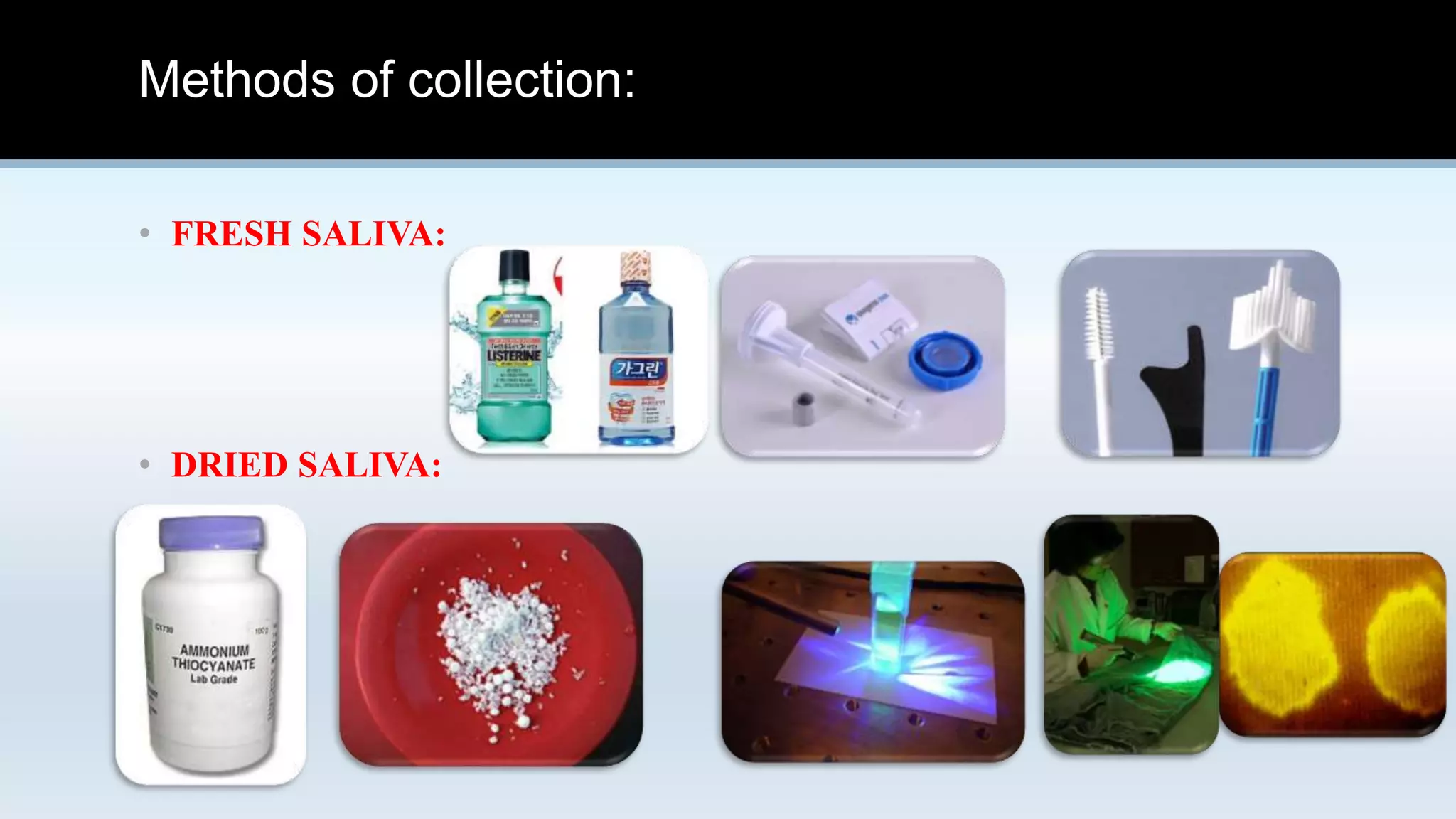 saliva in forensics | PPTX