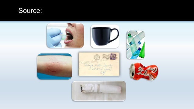 saliva in forensics | PPT