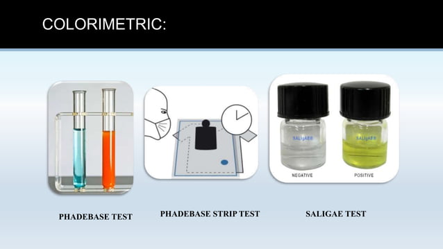 saliva in forensics | PPTX