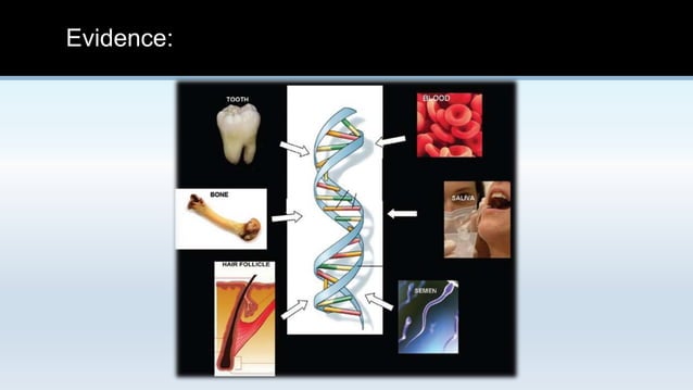 saliva in forensics | PPTX