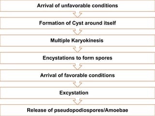 Ch-1 Reproduction in organisms -Biology NEET English Medium | PPTX