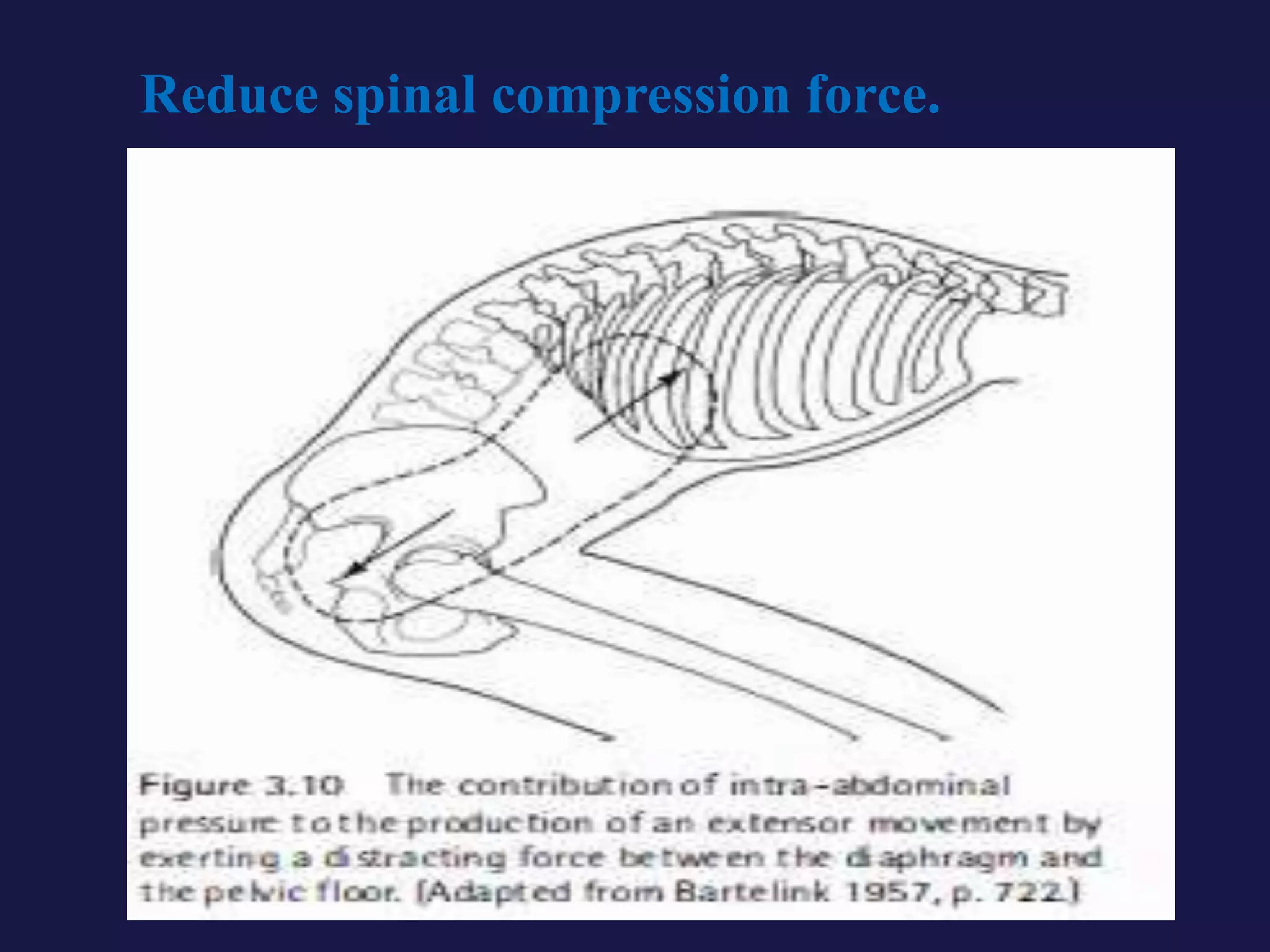 core muscle strengthening | PPTX