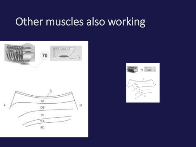 core muscle strengthening | PPTX | Physical Therapy | Wellness