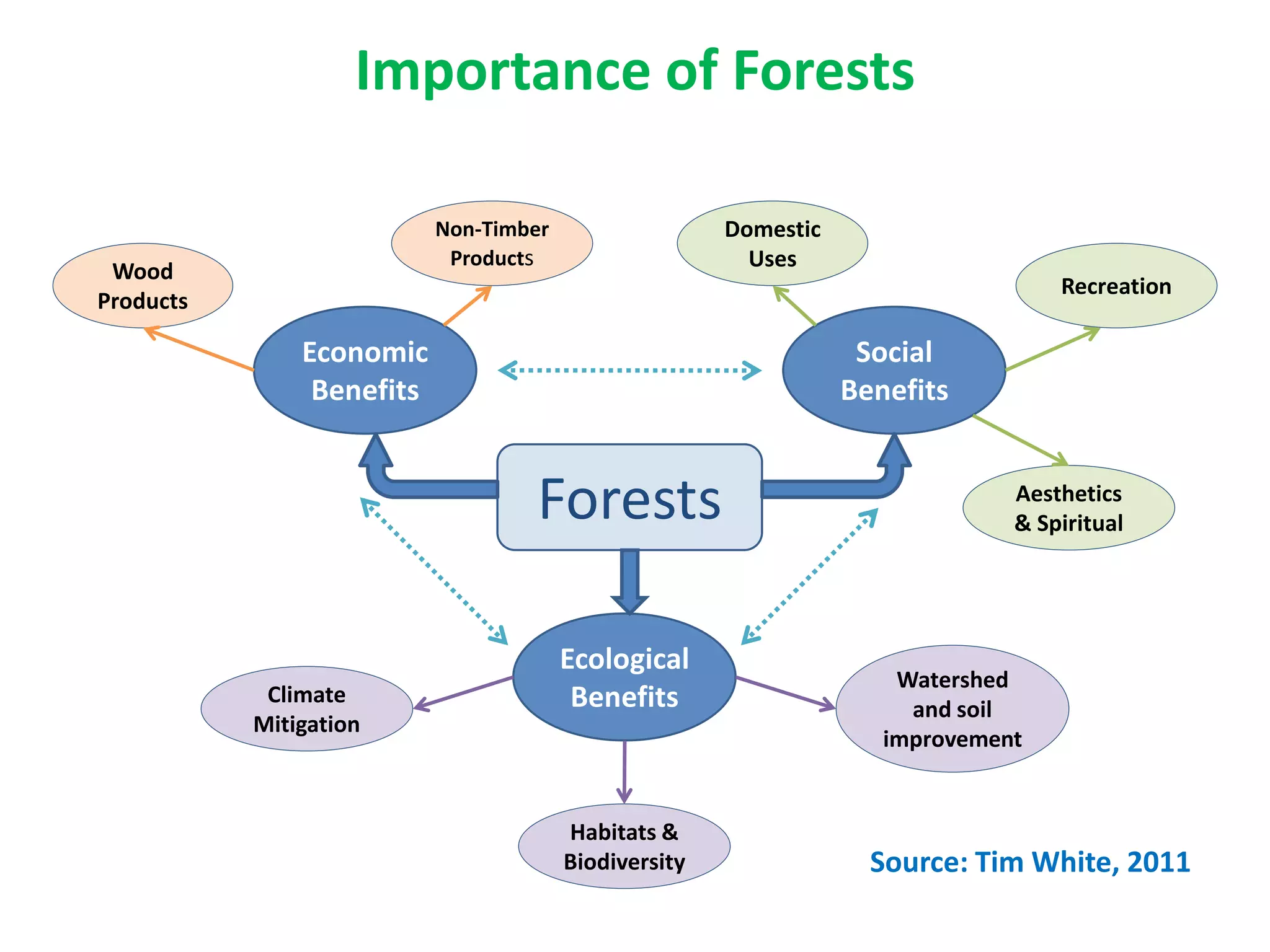 Importance of forest | PPTX
