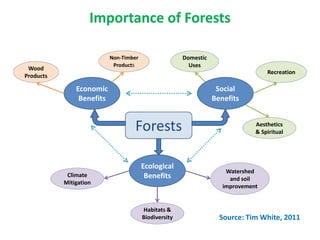 Importance of forest | PPTX