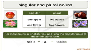 Class 1-English-PPT-Noun Numbers/Singular & Plural (English Grammar) | PPTX