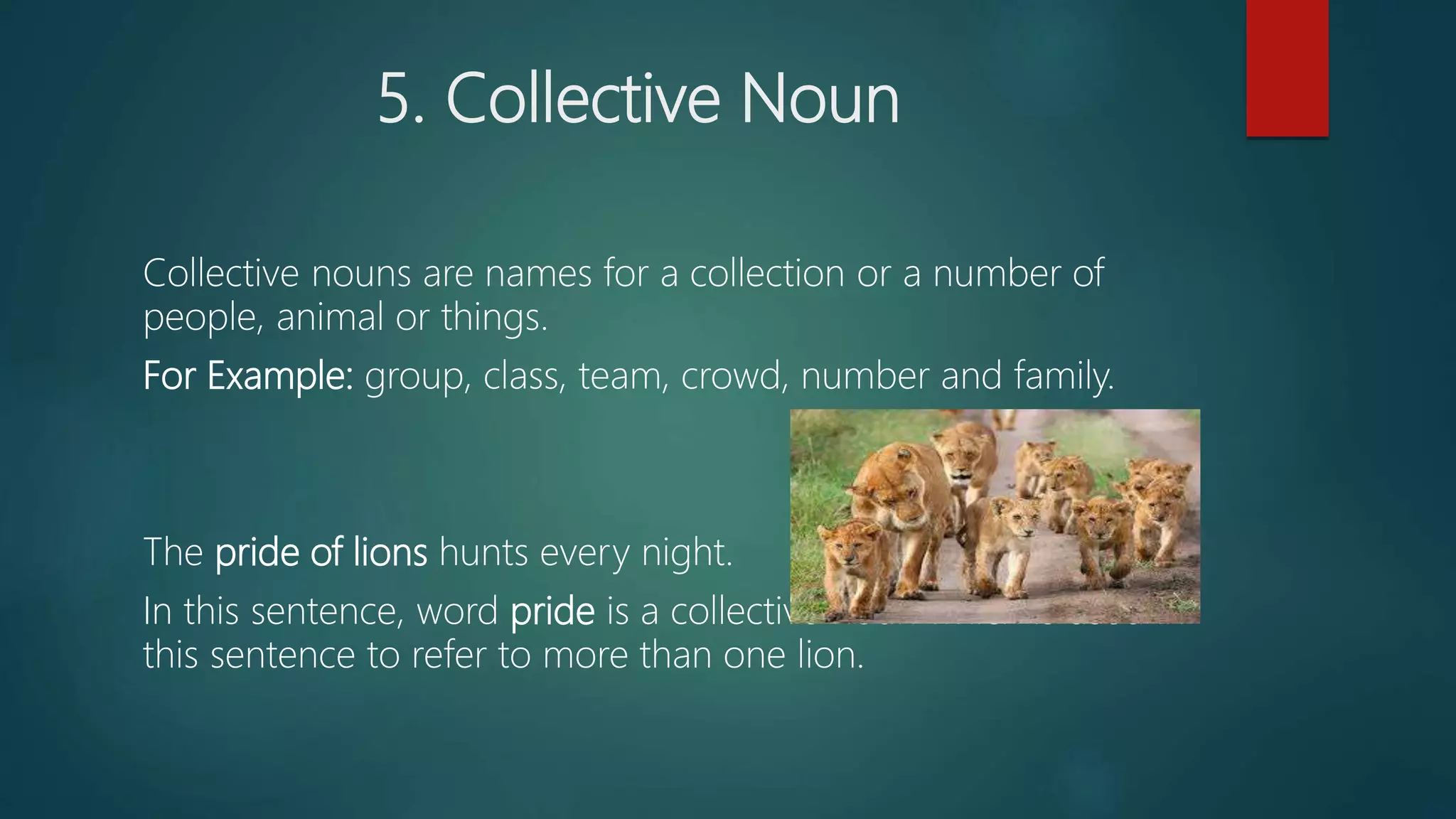 Class 3-English-PPT-Nouns and their Kinds (English Grammar) | PPTX
