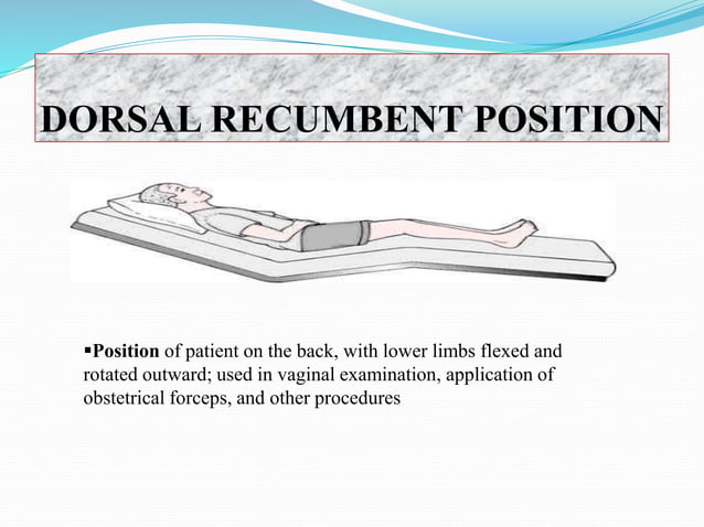 Position | PPTX