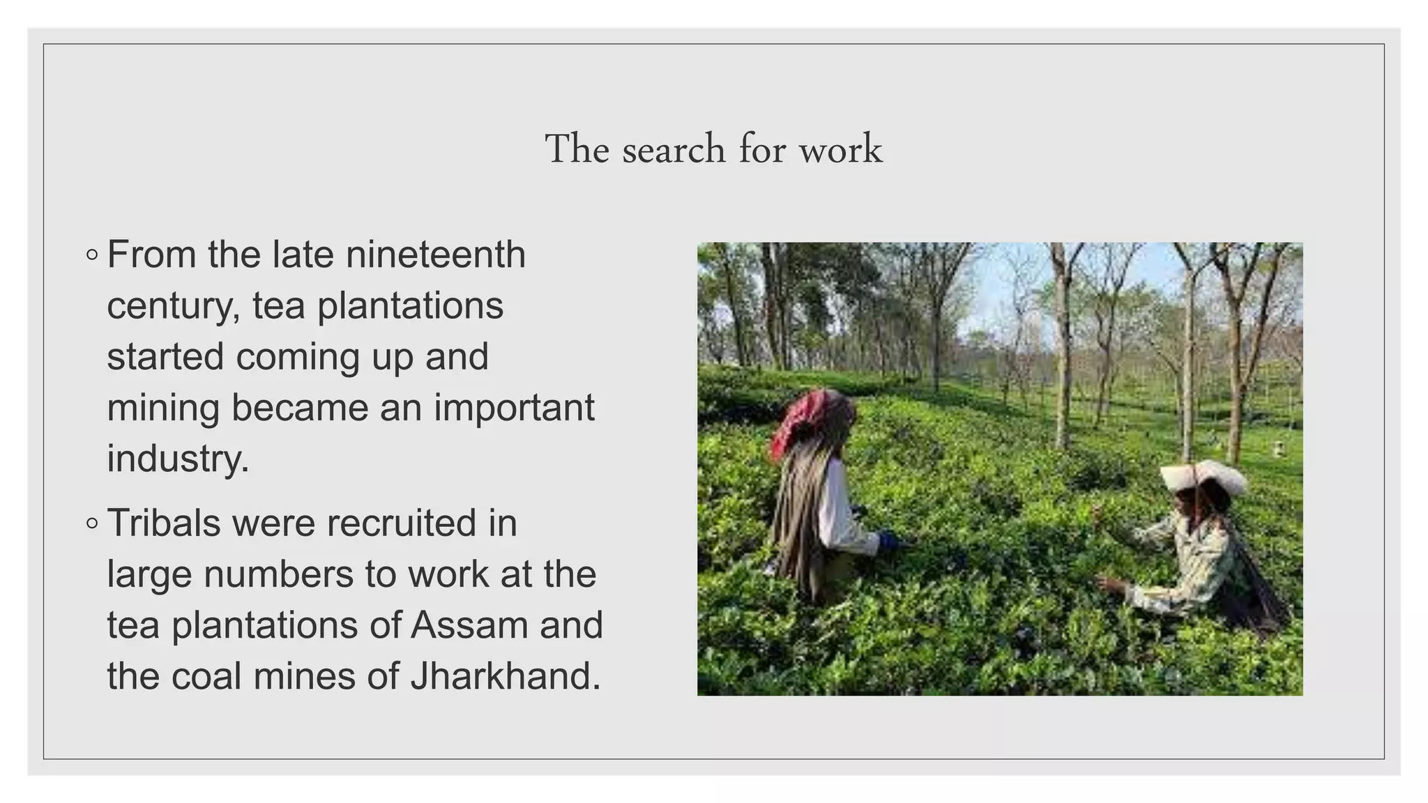 Class 8 History Chapter 4 Tribals, Dikus and the Vision of a Golden Age ...