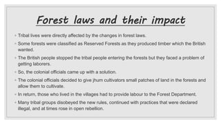 Class 8 History Chapter 4 Tribals, Dikus and the Vision of a Golden Age ...