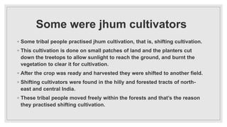 Class 8 History Chapter 4 Tribals, Dikus and the Vision of a Golden Age ...