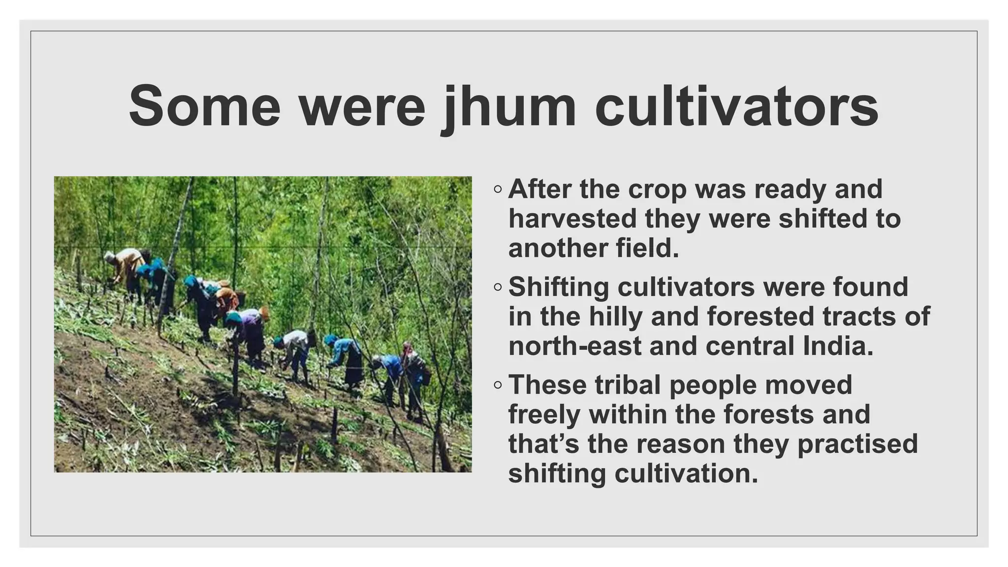 Chapter 4- Tribals, Dikus and the vision of a golden age | PPTX