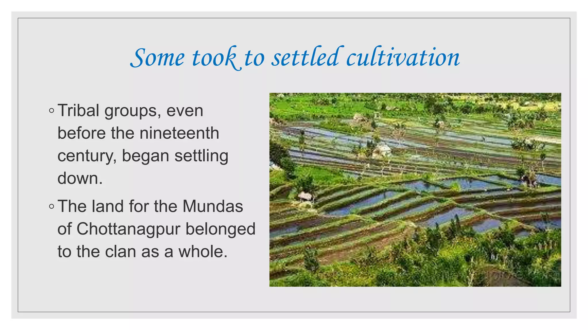 Chapter 4- Tribals, Dikus and the vision of a golden age | PPTX