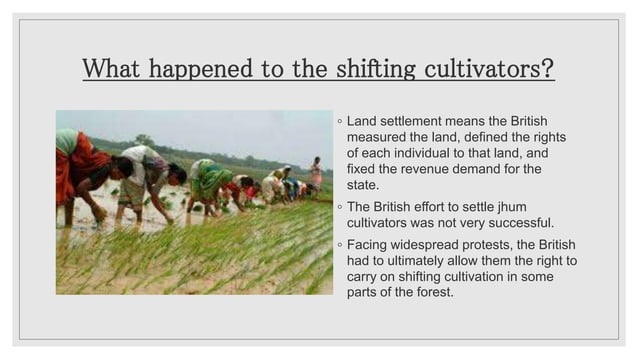 Chapter 4- Tribals, Dikus and the vision of a golden age | PPTX ...