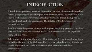 Fossils | PPT