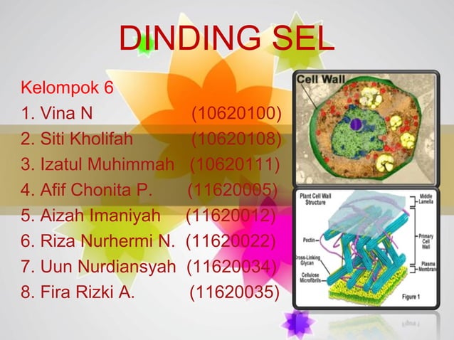 dinding sel | PPT