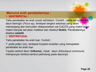 dinding sel | PPT
