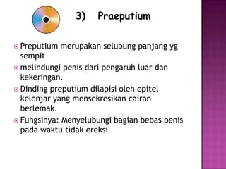 Ppt sph | PPTX