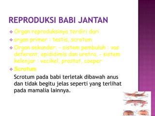 Ppt sph | PPTX