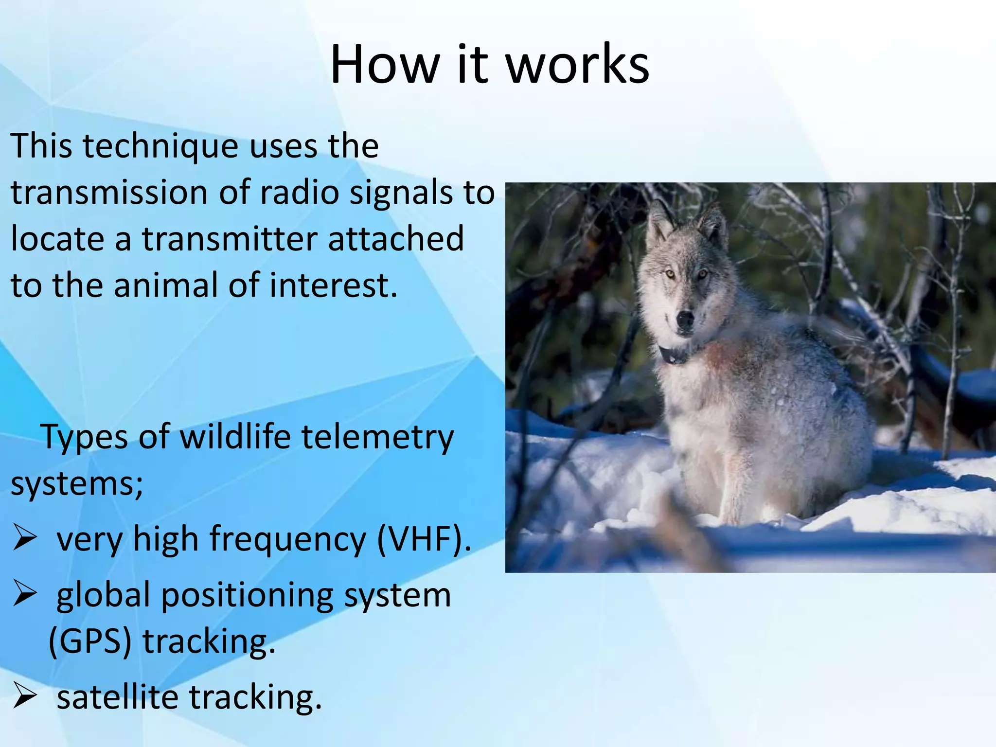 APPLICATIONS OF TELEMETRY TECHNOLOGY IN WILDLIFE CONSERVATION AND MANAGEMENT.(hence used in ...