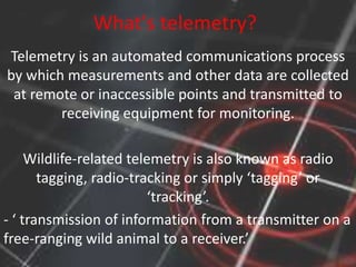 APPLICATIONS OF TELEMETRY TECHNOLOGY IN WILDLIFE CONSERVATION AND ...
