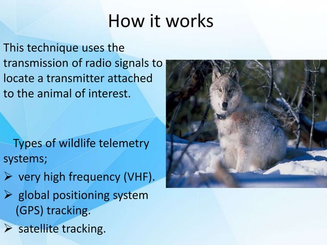 APPLICATIONS OF TELEMETRY TECHNOLOGY IN WILDLIFE CONSERVATION AND ...