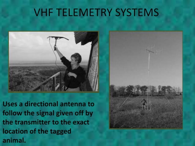 APPLICATIONS OF TELEMETRY TECHNOLOGY IN WILDLIFE CONSERVATION AND ...