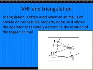 APPLICATIONS OF TELEMETRY TECHNOLOGY IN WILDLIFE CONSERVATION AND ...