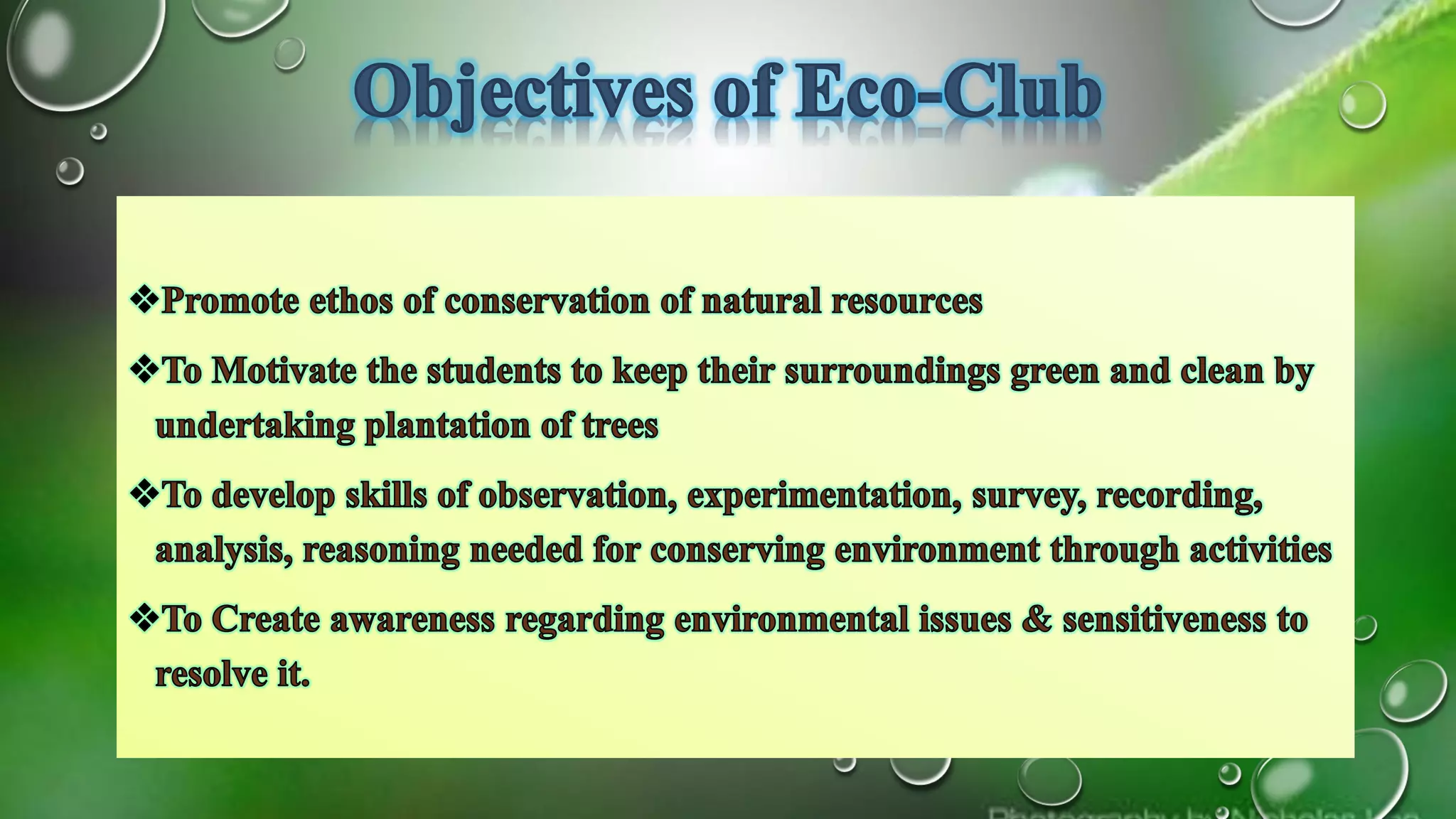 Eco Club by Garima Tandon | PDF