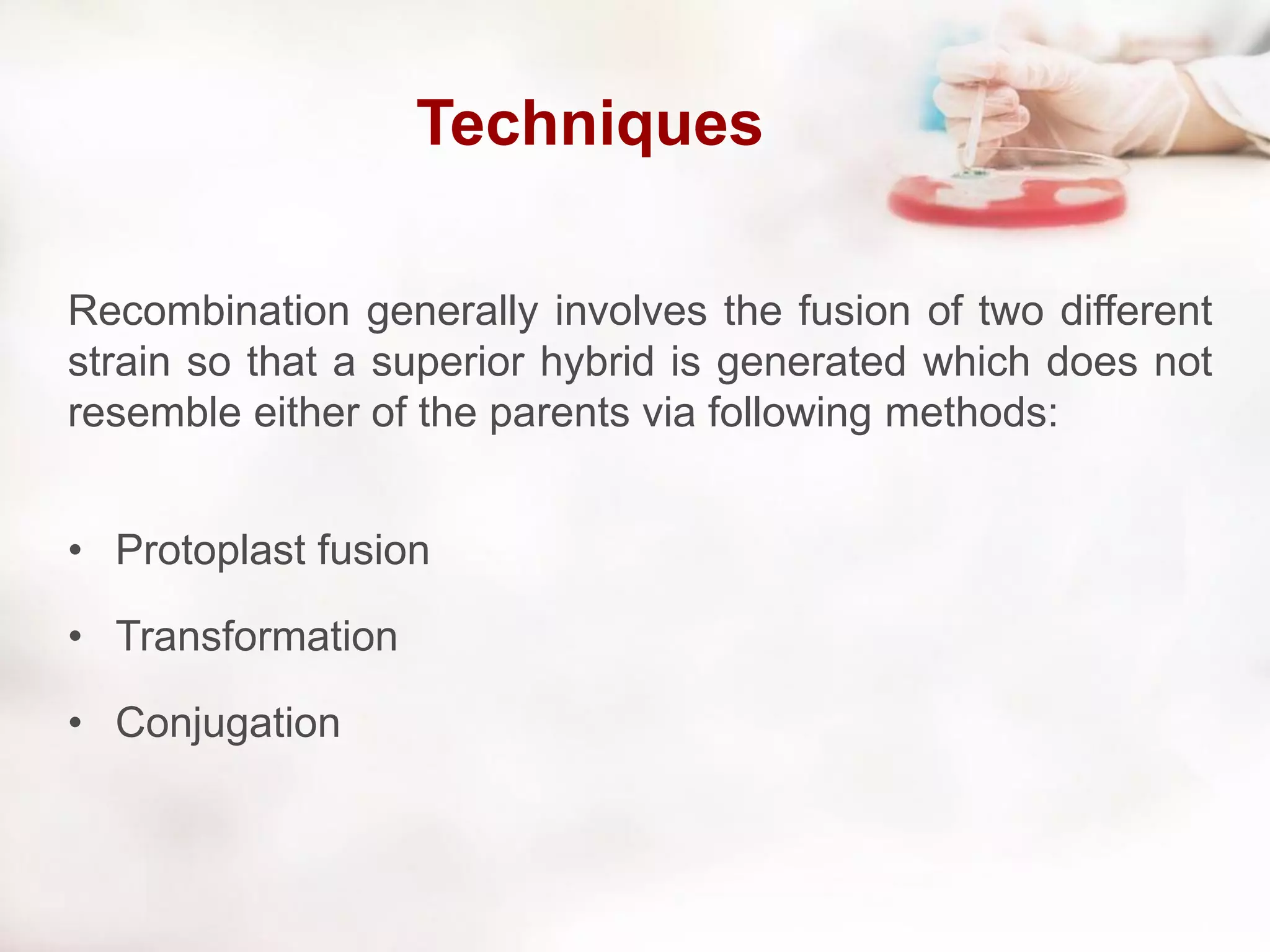 Ppt.strain improvement by ghalia nawal | PDF