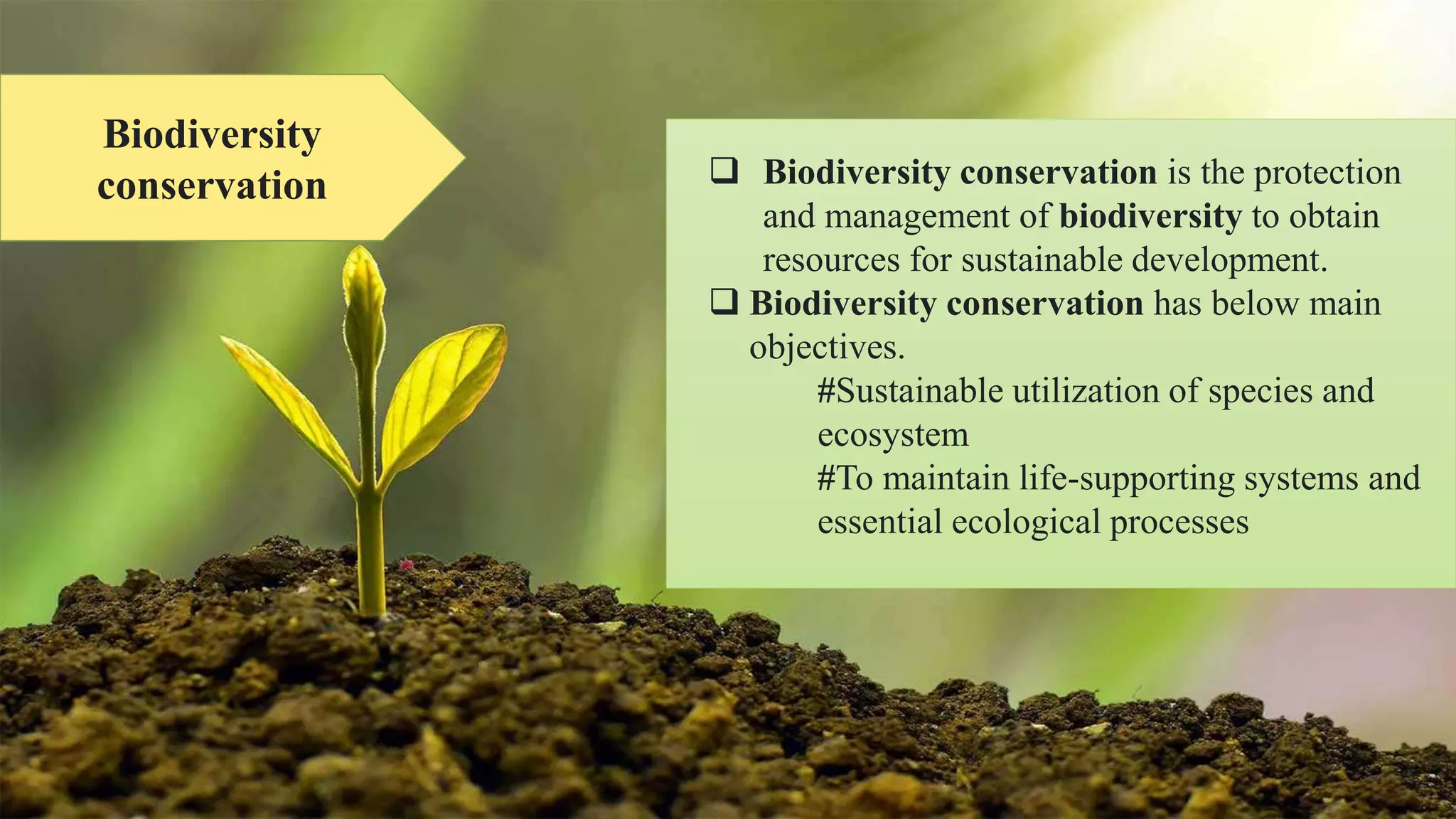 Biodiversity conservation strategies in Sri Lanka | PPTX