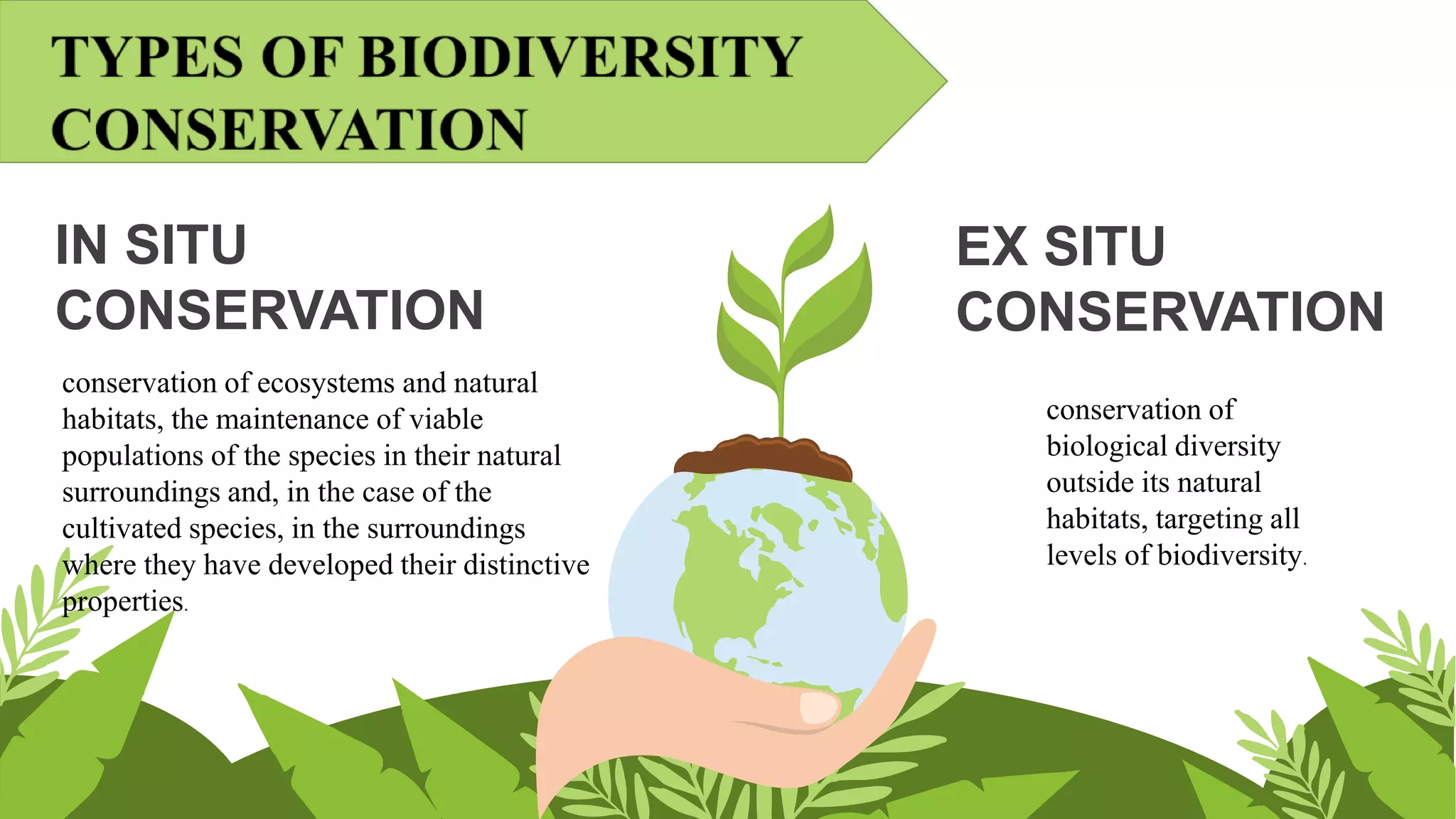 Biodiversity conservation strategies in Sri Lanka | PPTX