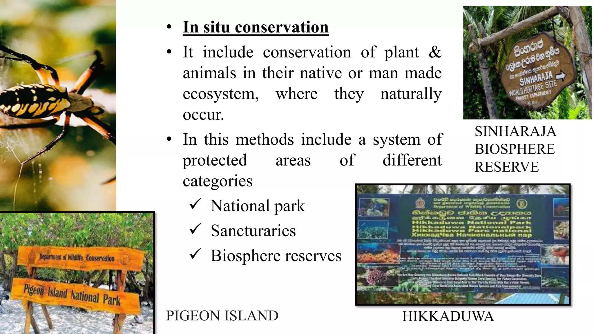Biodiversity conservation strategies in Sri Lanka | PPTX