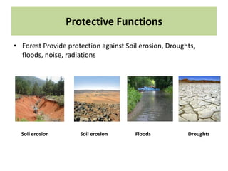 Role of Forest and trees on Environment | PPT