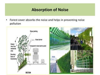 Role of Forest and trees on Environment | PPT