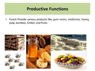 Role of Forest and trees on Environment | PPT