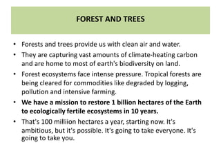 Role of Forest and trees on Environment | PPT