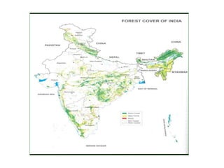 Role of Forest and trees on Environment | PPT